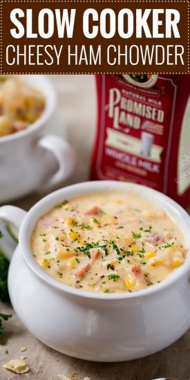 Slow Cooker Cheesy Ham Chowder - The Chunky Chef