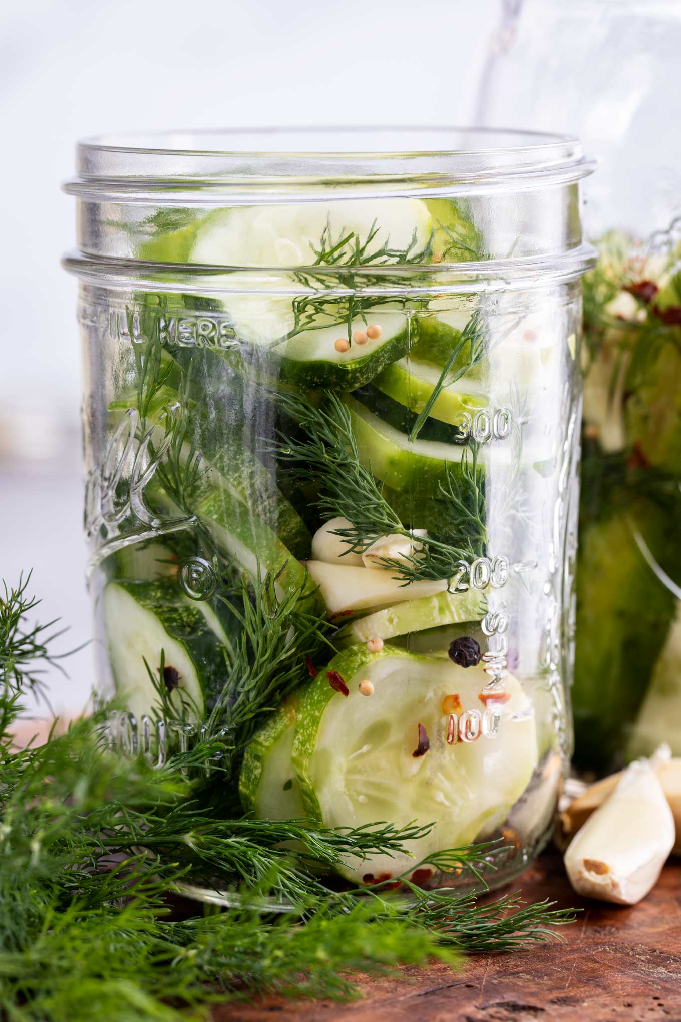 Refrigerator Pickles (zesty garlic dill! ) - The Chunky Chef