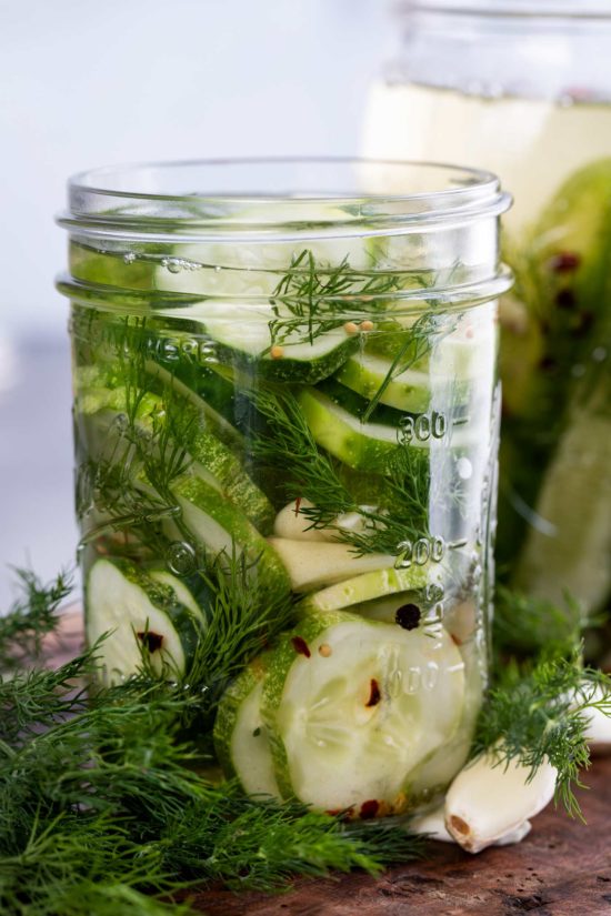 Refrigerator Pickles (zesty garlic dill! ) - The Chunky Chef
