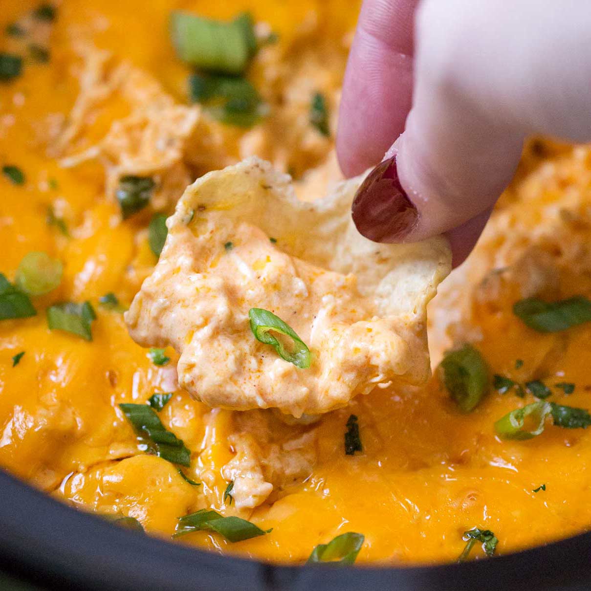 Amazing Appetizers - The Chunky Chef