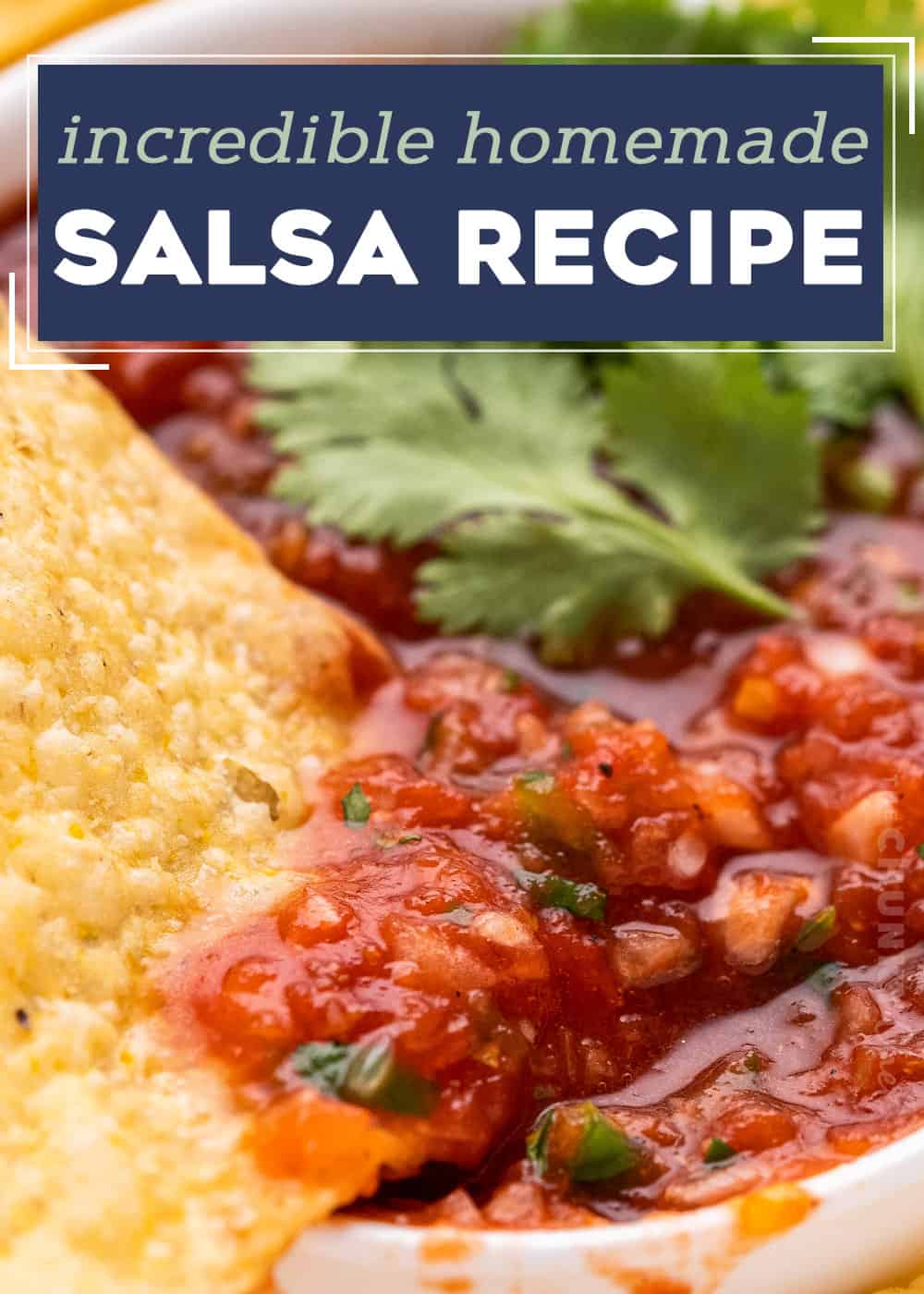 Incredible Homemade Salsa Recipe - The Chunky Chef