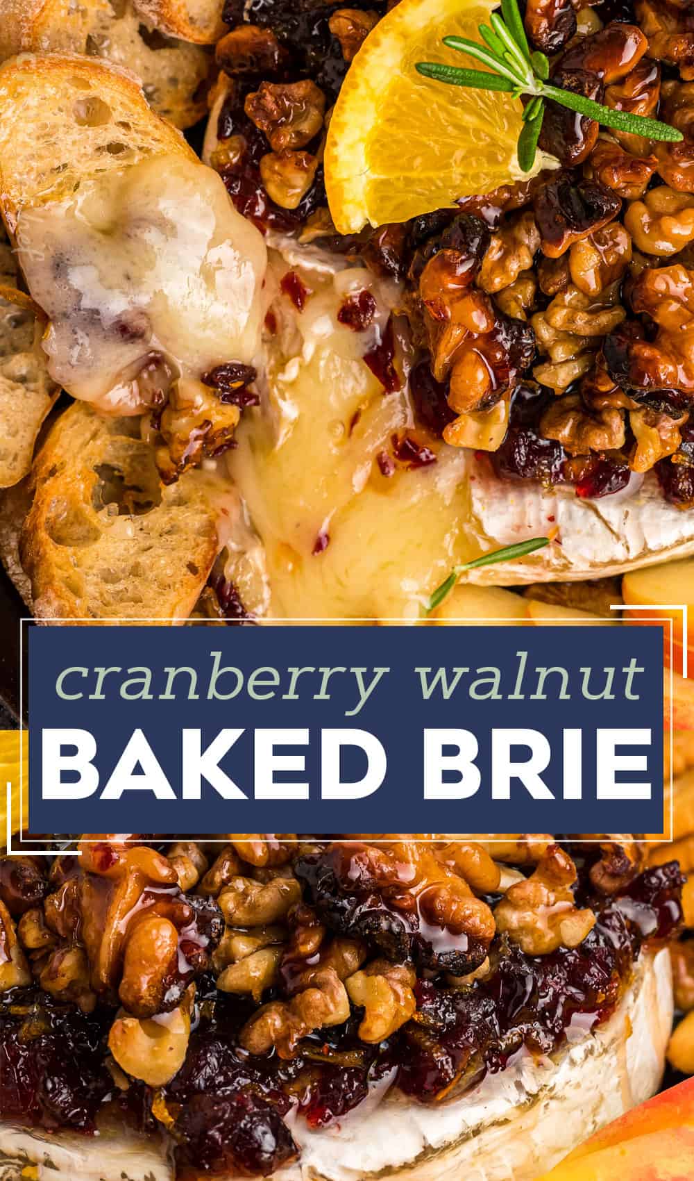 Cranberry Walnut Baked Brie - The Chunky Chef