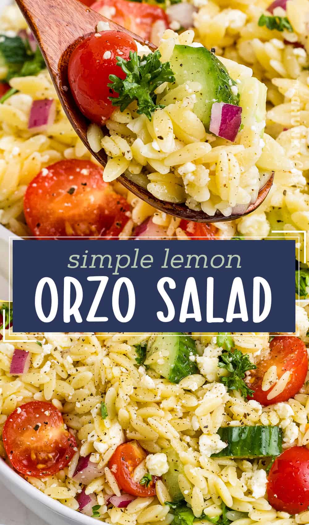 Lemon Orzo Salad - The Chunky Chef