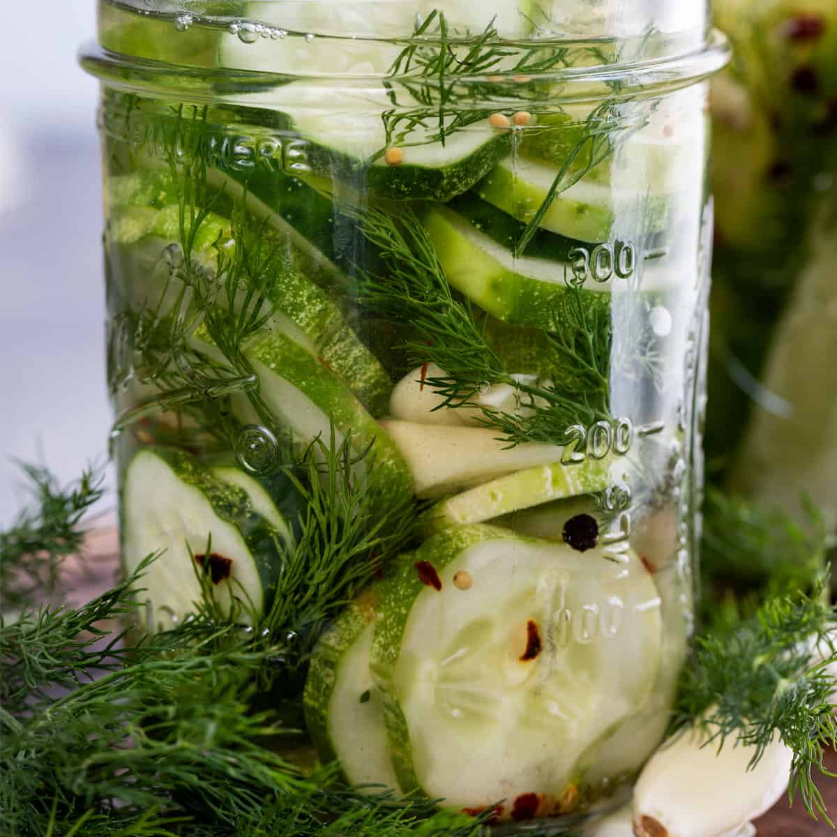 Refrigerator Pickles (zesty garlic dill! ) - The Chunky Chef