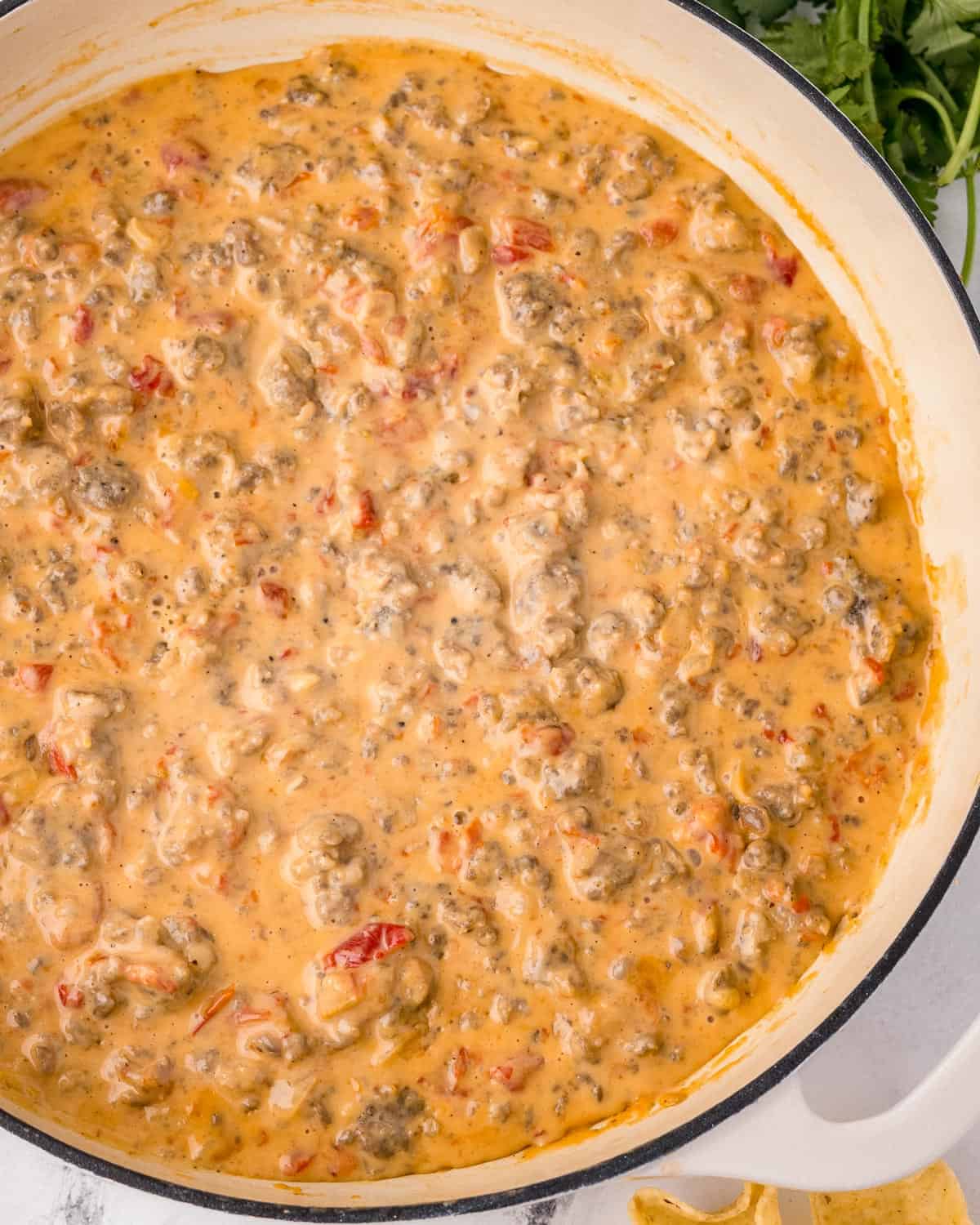 Cheesy Sausage Dip with Rotel - The Chunky Chef