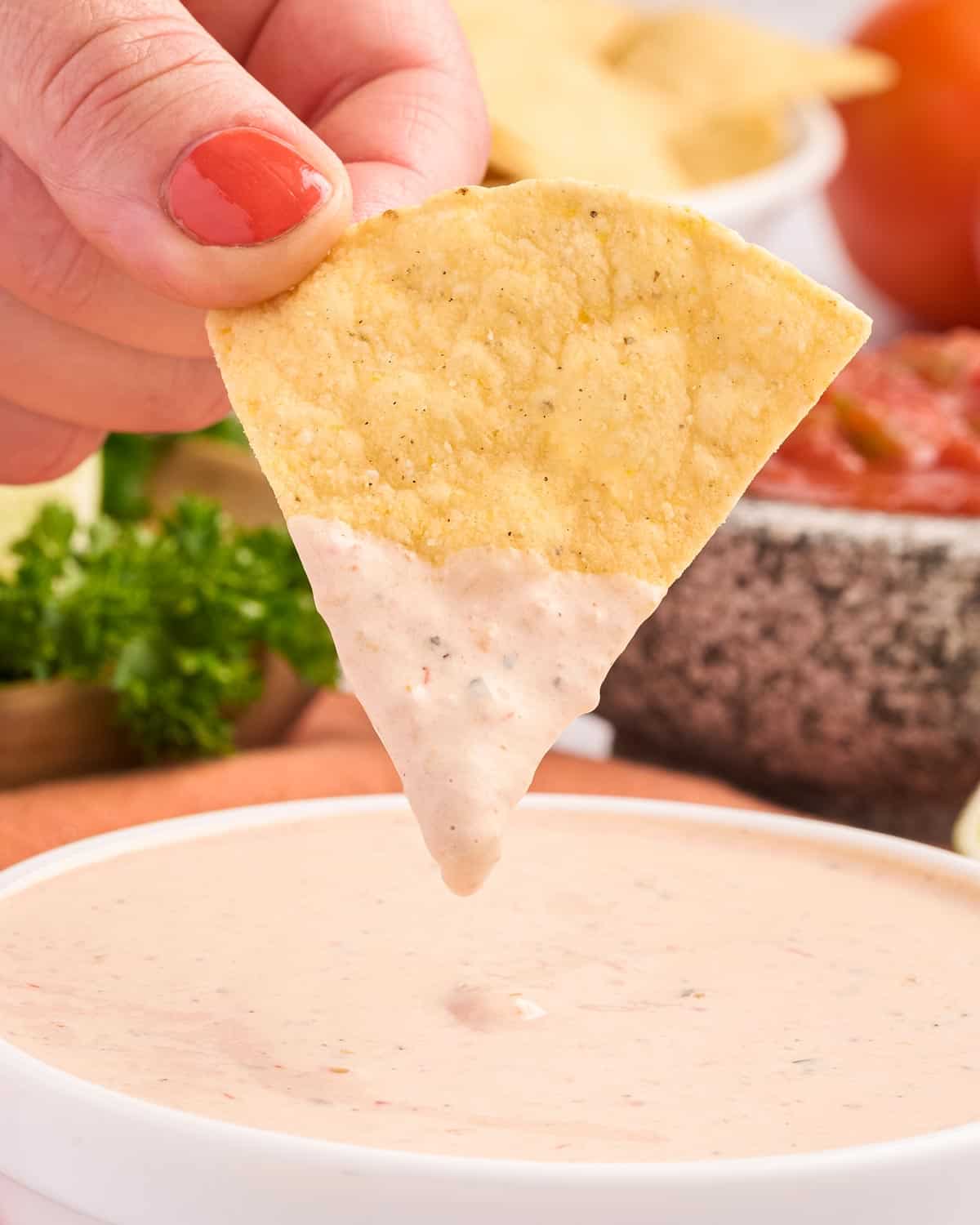 Creamy Salsa Ranch - The Chunky Chef