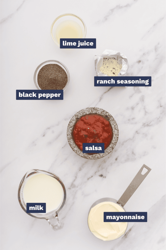 Creamy Salsa Ranch - The Chunky Chef