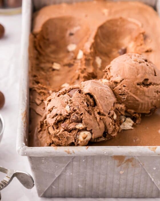 Malted Chocolate Ice Cream - The Chunky Chef