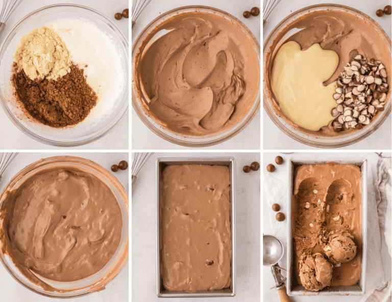 Malted Chocolate Ice Cream - The Chunky Chef