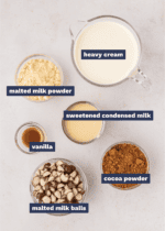 Malted Chocolate Ice Cream - The Chunky Chef