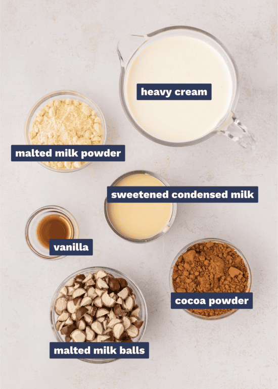 Malted Chocolate Ice Cream - The Chunky Chef