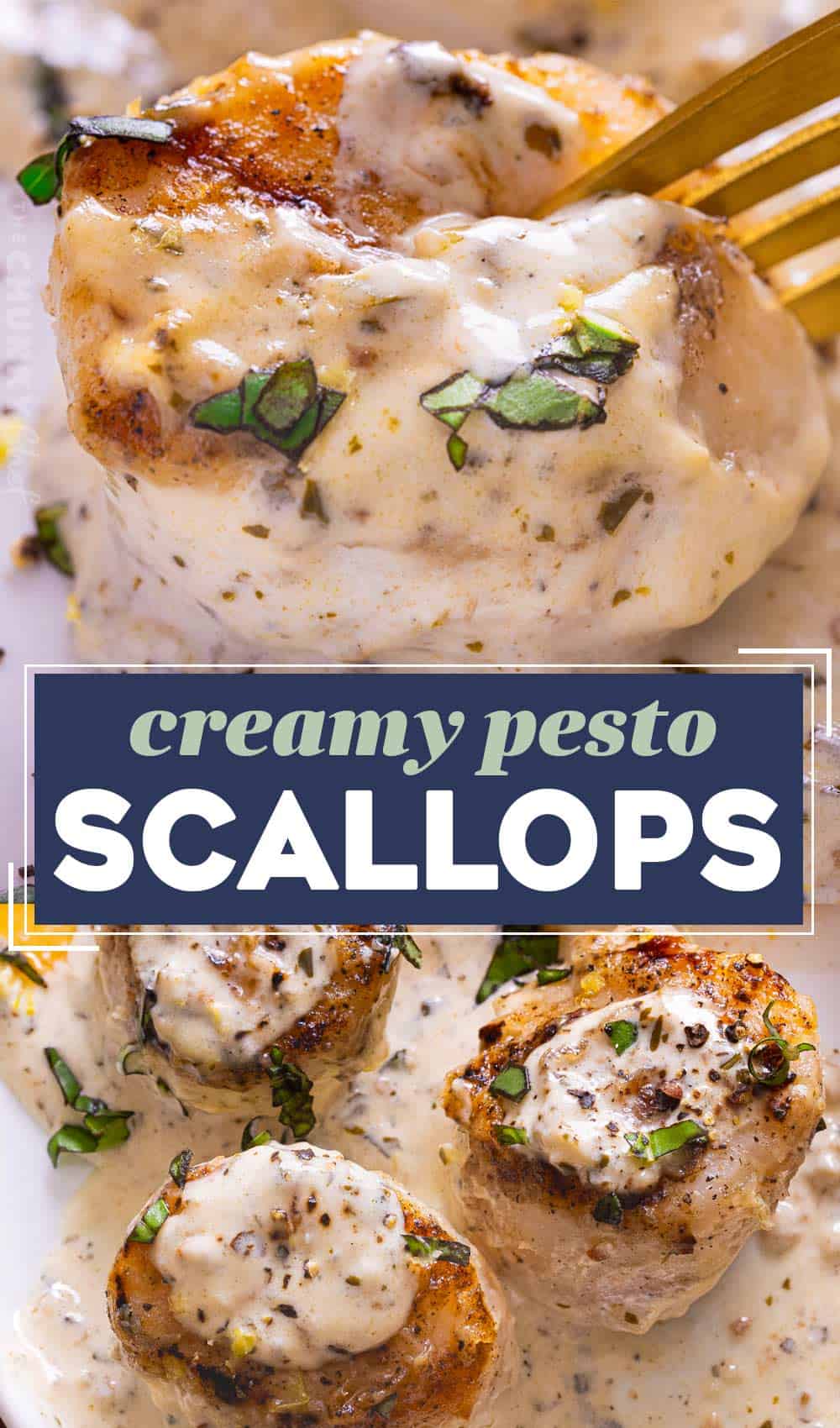 Creamy Pesto Scallops Recipe - The Chunky Chef